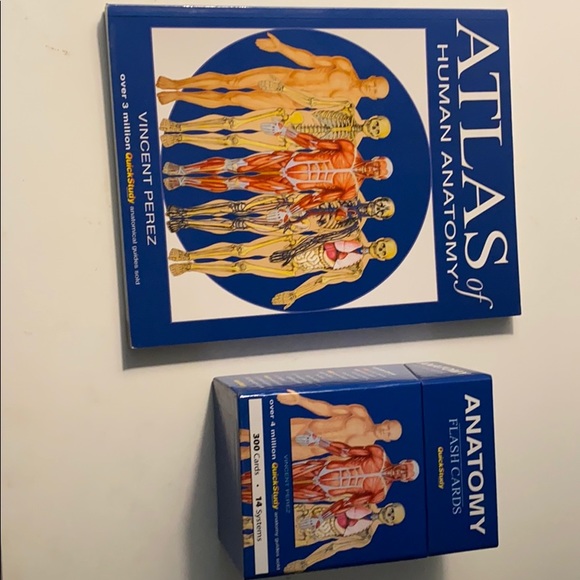 Other | Anatomy Atlas And Flashcards | Poshmark
